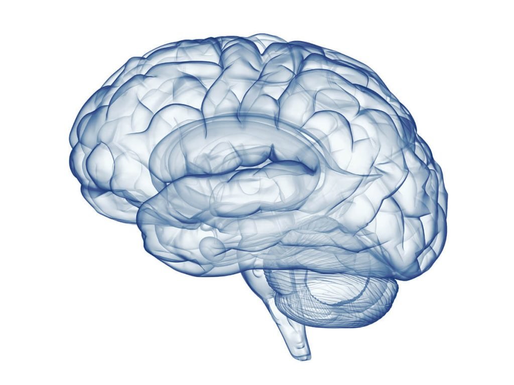 Salauddin Specialized Hospital Doctor List & Location - Find Doctor 24